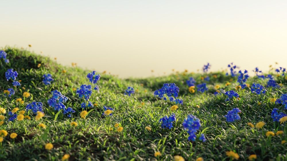 Tips and Assets for Creating Realistic Nature Scenes Blender